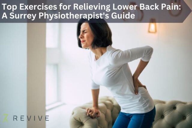 Top Exercises for Relieving Lower Back Pain – REVIVE REHAB
